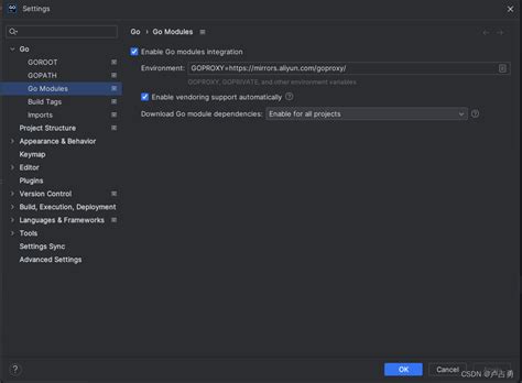 Golang编译器设置go Mod走代理go Mod 代理 Csdn博客