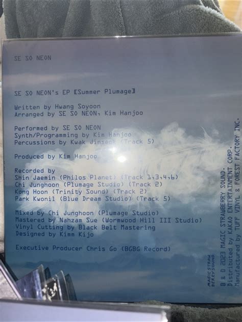 새소년 여름깃 Lp 바이닐 미개봉 취미 게임 음반 당근 중고거래