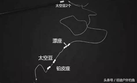 野釣中想要釣到大魚試試這幾個老套路釣一次爽一次 每日頭條