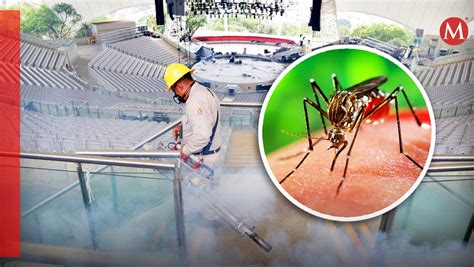 Productos Contra El Dengue Que Recomienda Profeco Grupo Milenio