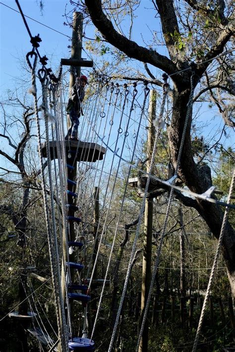 Adventurous Girl Having Fun On Treetop Obstacle Course Stock Image Image Of Teen Smiling