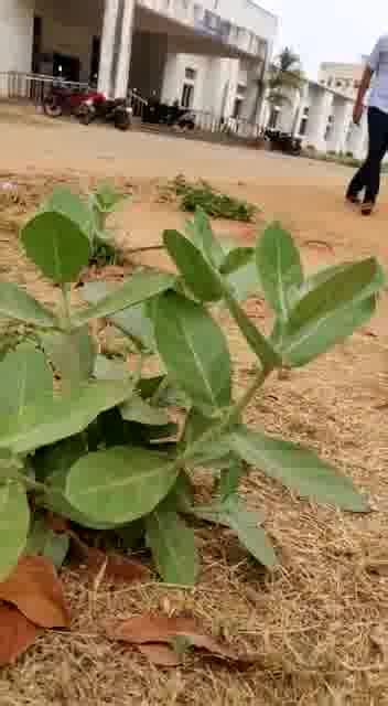 Negative Dataset Object Detection Dataset By Alwi Zulfauzi