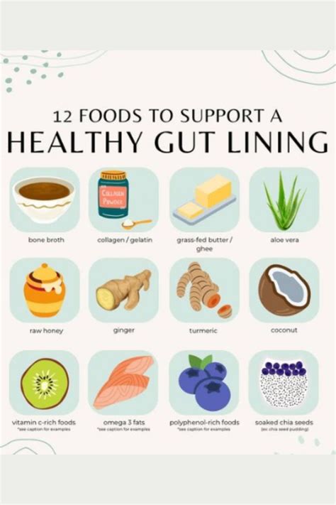 How To Build Healthy Gut Biome At Elaine Sanchez Blog