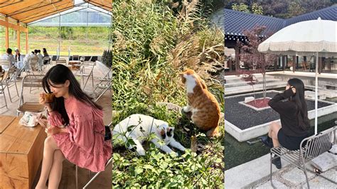 Vlog 가을은 말이 아니라 내가 살찌는 계절🍂🍁 Youtube