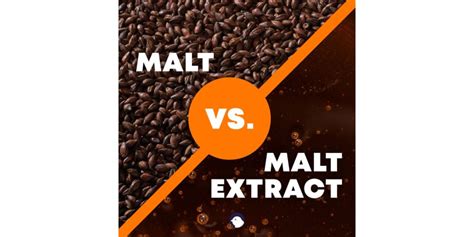 Blog Malt Vs Malt Extract