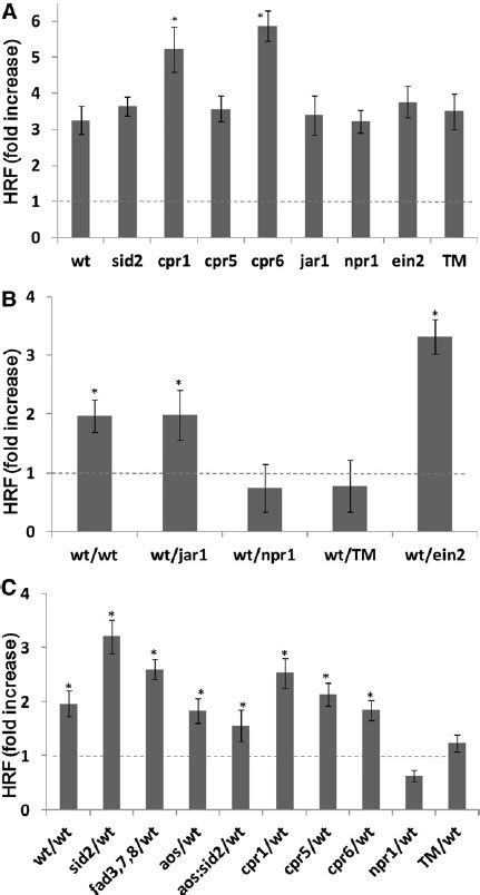 Changes In HRF In Hormone Signaling And Hormone Synthe Sis Mutants