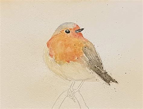 Robin Watercolour Wildlife Painting Tutorials With Syman Kaye