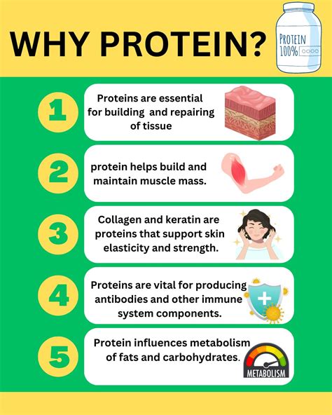 vedant dudhbhate on linkedin don t eat protein did you know eating