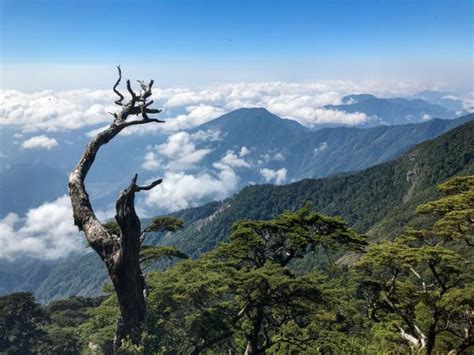20200509 0510 北大武山 健行筆記