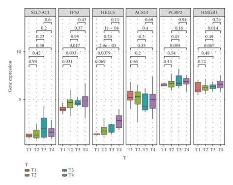 Independent Prognostic Value Of The Ferroptosis Risk Signature A