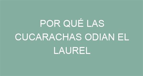 Por qué las cucarachas odian el laurel PlantasAromaticas ORG