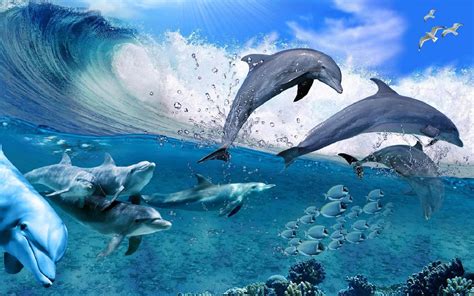 Картинки На Рабочий Стол Дельфины На Весь Экран 67 фото