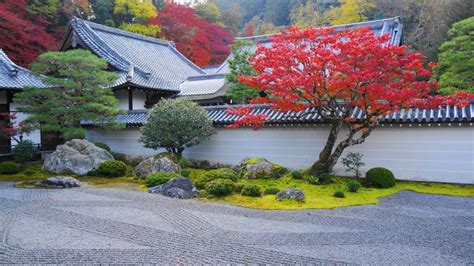 Kyoto Moyou