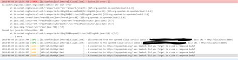 Myopenhab Connection Leaked Strange Log Entry MyopenHAB