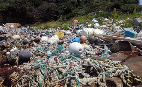 対策が急がれる海洋プラスチック問題。私たちにできることは？｜プラスチックとリサイクルに関する学習支援サイト｜プラスチックのはてな