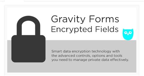 Download Gravity Forms Encrypted Fields