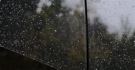 有关户外 下雨天 公园 和平的 垂直拍摄 城市自然 壞心情 多雲的 天性 天氣 天氣好 寧靜 心情 戶外 時令的