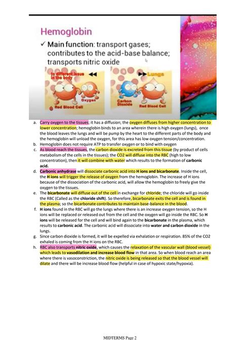 Solution 6 Hemoglobin Metabolism Studypool