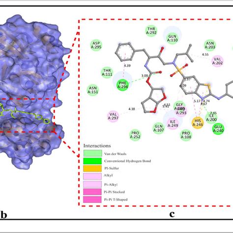 The Crystal Structure Of Sars Cov 2 M Pro In Complex With Voxilaprevir