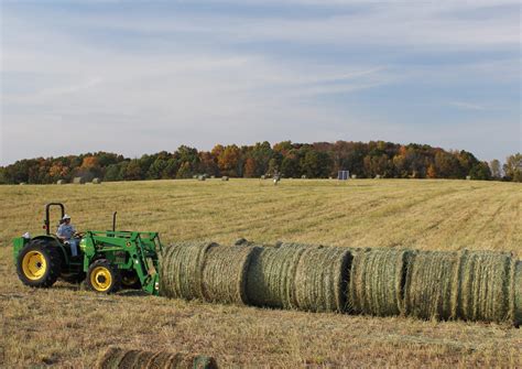 Researchers Discover Reason Behind Switchgrass Summer Photosynthesis