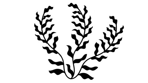 Tree Branches With Leaves Shilouette Used For Floral Design Resources