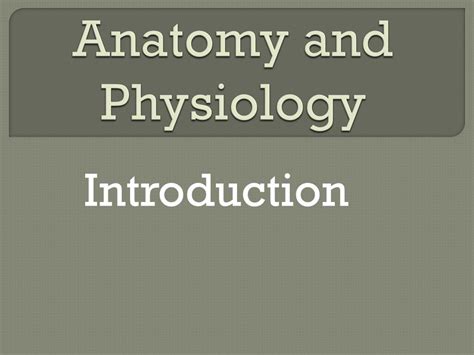 Ppt Anatomy And Physiology Powerpoint Presentation Free Download