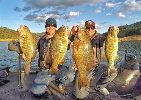Smallmouth Bass — Tactical Bassin Bass Fishing Blog