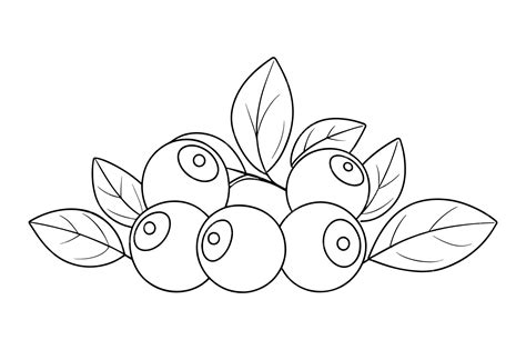 Premium Vector Blueberries Continuous Line Art Isolated Flat Vector Illustration On White
