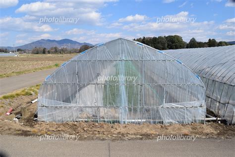 ビニールハウス栽培 写真素材 6057915 フォトライブラリー Photolibrary