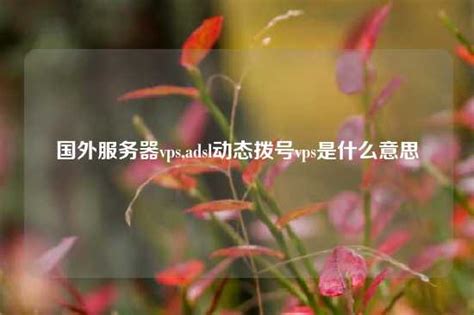 服务器 吉云网 第393页