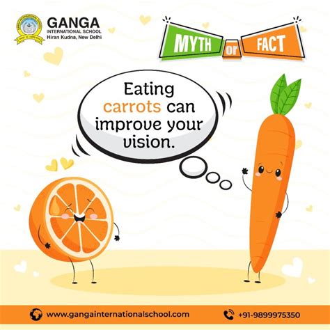 Ganga International School Hiran Kudna On Linkedin Myth Fact