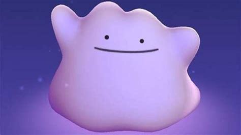 Pokemon Sword And Shield How To Get Ditto Twinfinite