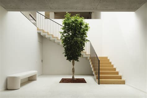 House Around The Tree Timm Archdaily