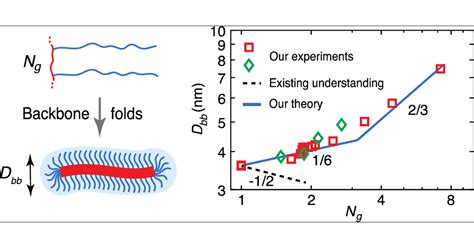 Unexpected Folding Of Bottlebrush Polymers In Melts Macromolecules