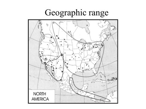 Ppt Life History And Longevity Powerpoint Presentation Free Download