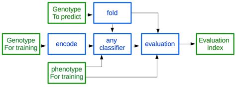 Genomic Selection Analysis Workflow As Implemented By Oghma Tool Suite
