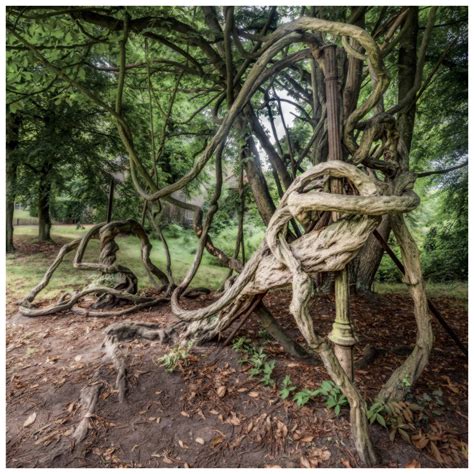 The Root Monster By Wibel On Deviantart