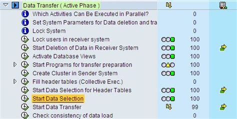 Sap Test Data Migration Server General Issues An Sap Community