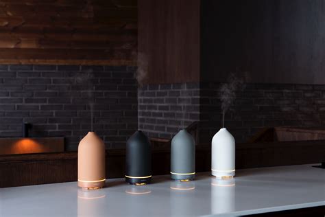 Affordable Diffusers That Can Transform Your Home Aesthetics Volant