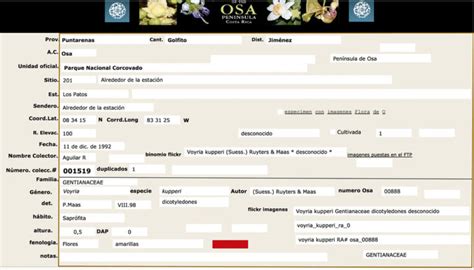 Dbms What Is It Types And Main Functions Updated October 2025