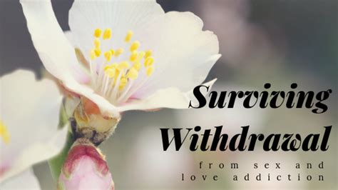 Surviving Withdrawal From Sex And Love Addiction — Restored Hope