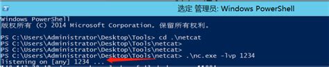 Apache Shiro 反序列化漏洞复现（反弹 Shell） 云中鹤 博客园