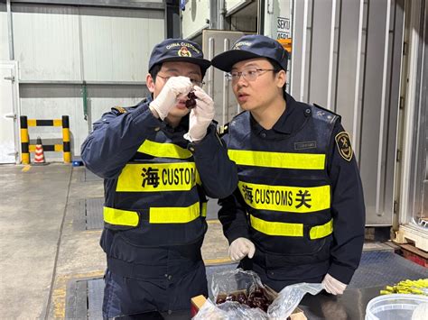 近千吨智利车厘子通关抵沪，将被投入长三角市场