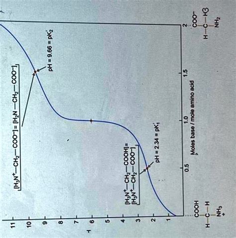Solved 10 The Diagram To The Right Shows An Oh Titration Curve With