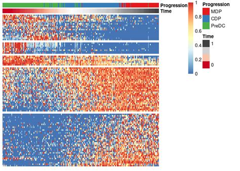 Inferring Developmental Chronologies From Single Cell Rna Sequencing Data • Scorpius