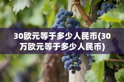 30欧元等于多少人民币 30万欧元等于多少人民币 黑龙江旅游网