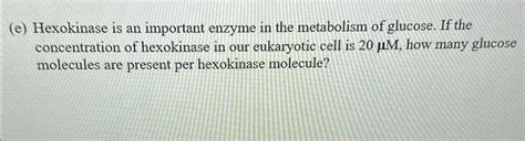 Solved E ﻿hexokinase Is An Important Enzyme In The