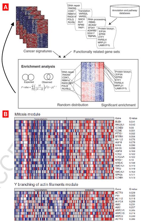 Different Analytical Methodologies That Have Been Used To Build Download Scientific Diagram