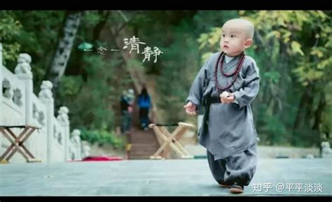 因救蚂蚁而获重生 知乎
