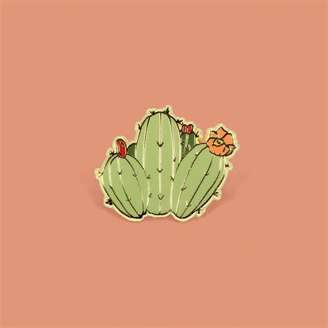 Cacti Oasis
